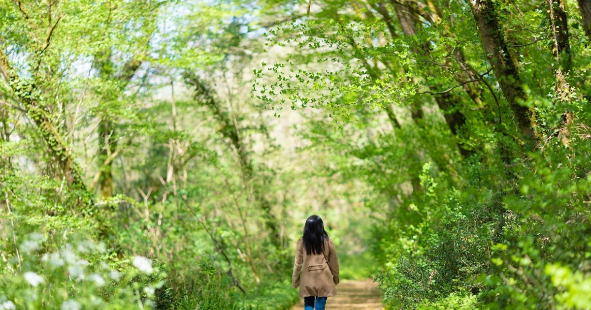 New handbook to help prescribe nature for mental health and wellbeing ...