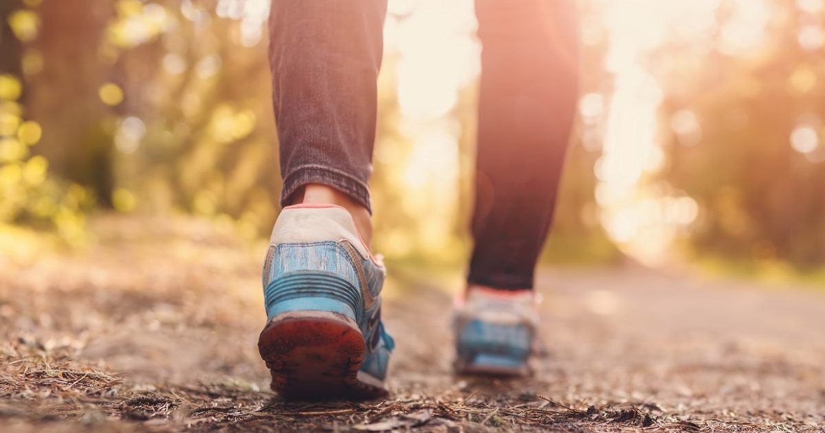 Why I’m following a path into research - PenARC