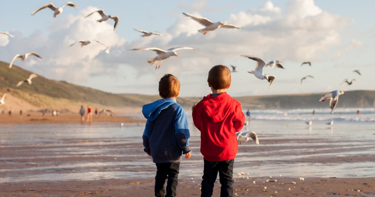 Children and young people identify research questions that could help ...